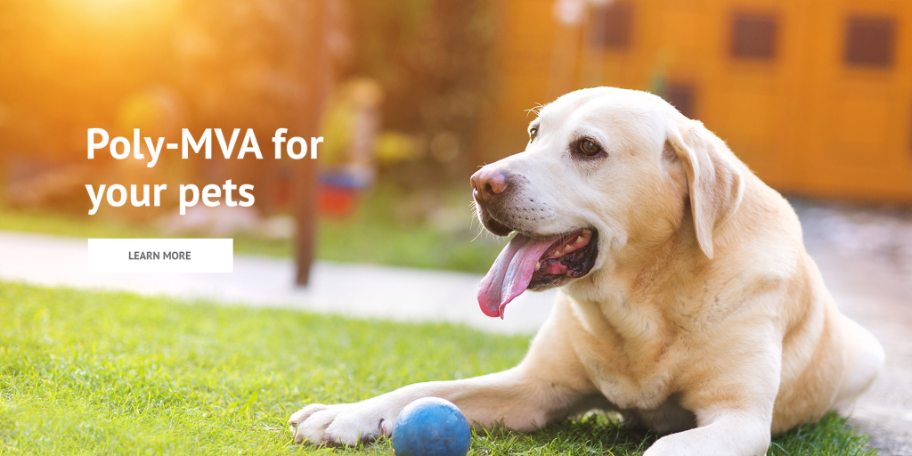 polymva-slider-pets - Poly-MVA
